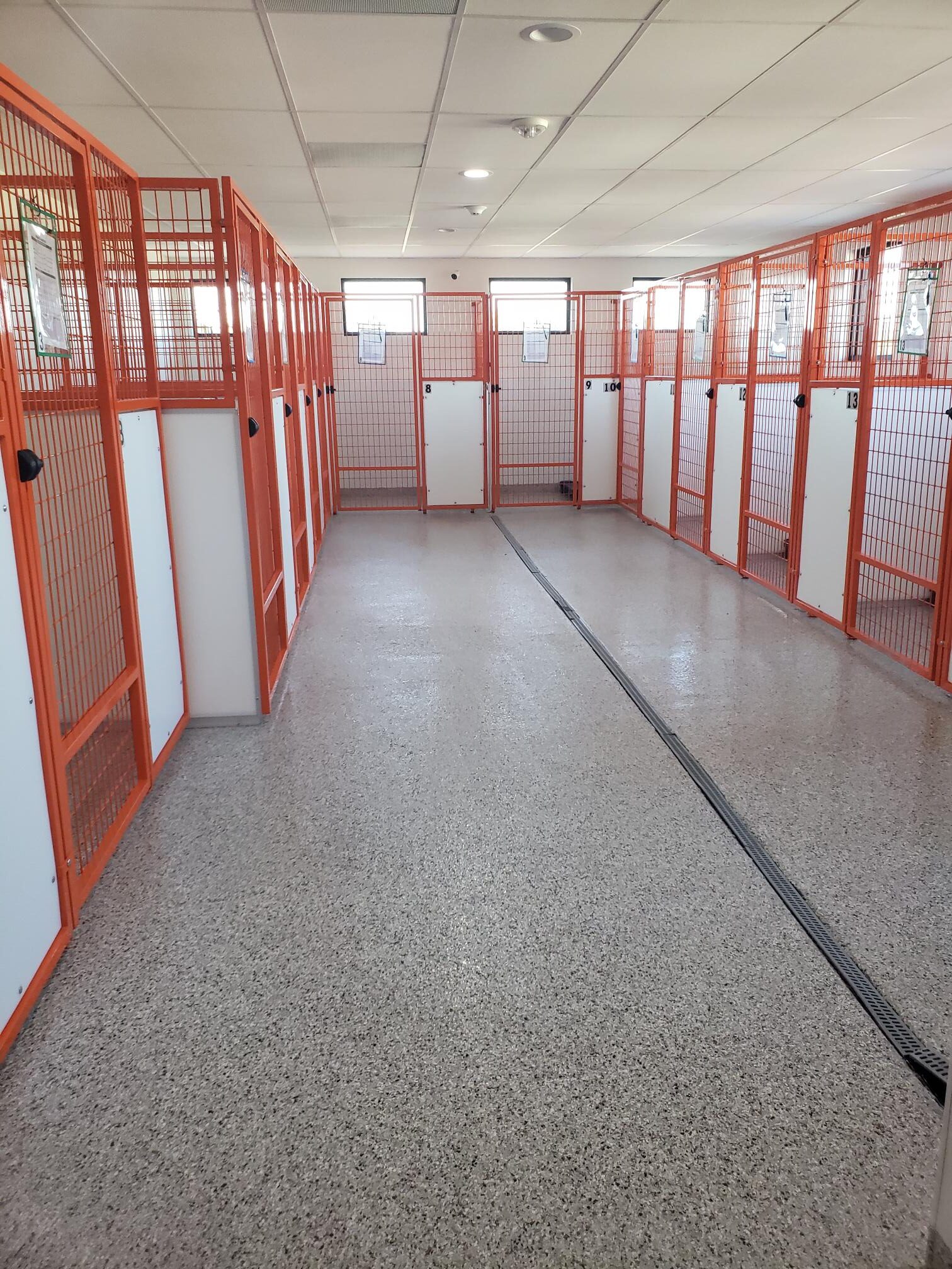 Comfortable Stays for Your Pooch - Paws Landing Pet Resort